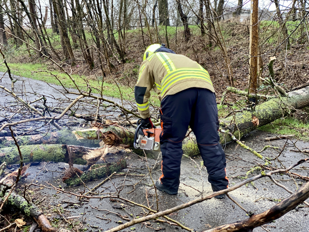 Baum auf Straße – Freiwillige Feuerwehr Alpen